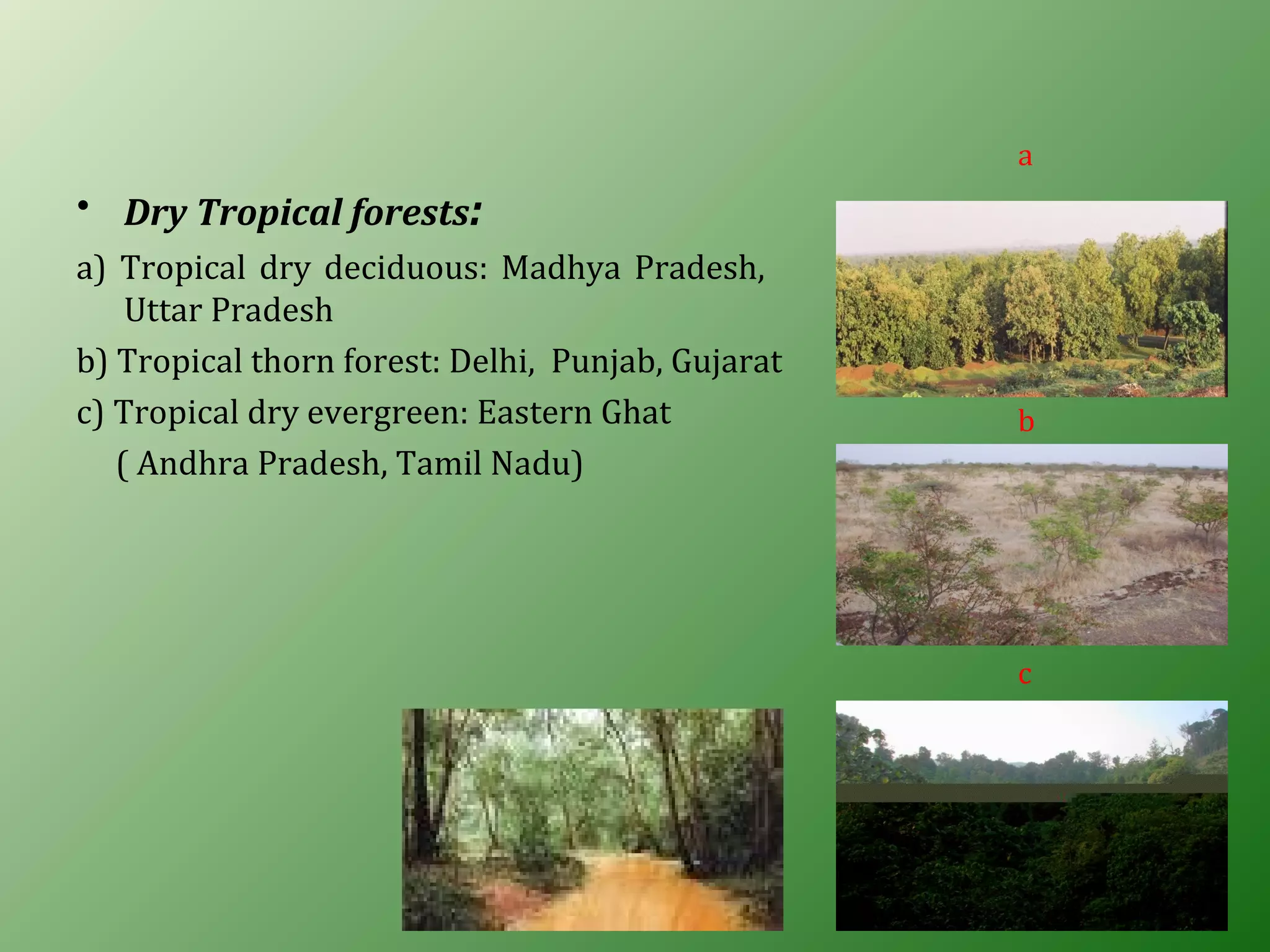 forestresources-150602152433-lva1-app6892.pdf