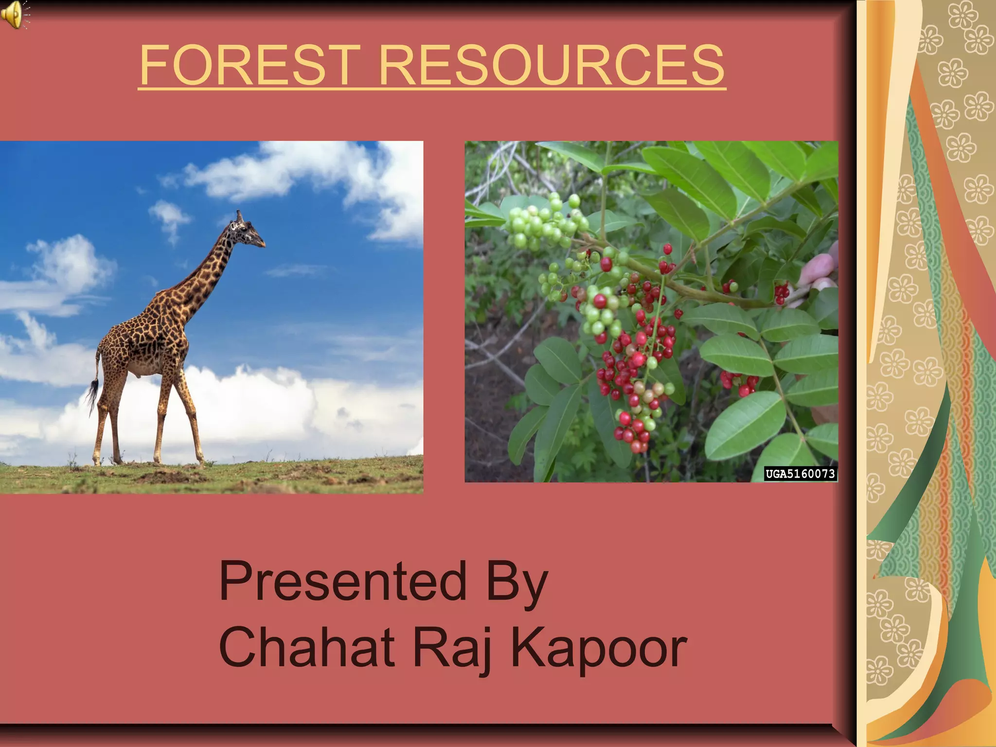 Forest resources | PPT
