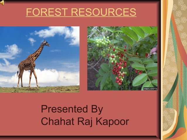 Forest resources | PPT
