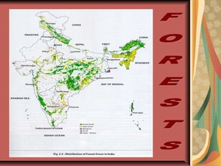 Forest resources | PPT