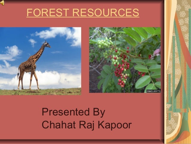 Forest resources