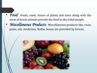 Forest resources for environmental studies | PPTX