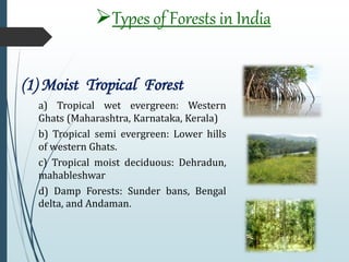 Forest resources for environmental studies | PPTX