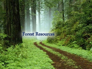 Forest resources for environmental studies | PPTX