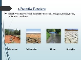 Forest resources for environmental studies | PPTX