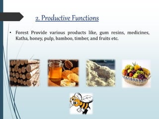 Forest resources for environmental studies | PPTX