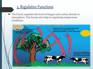 Forest resources for environmental studies | PPTX
