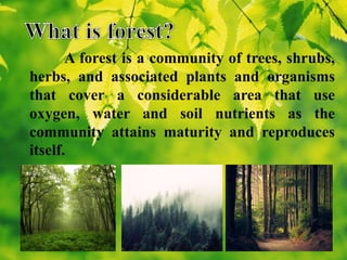 Forest resources | PPTX