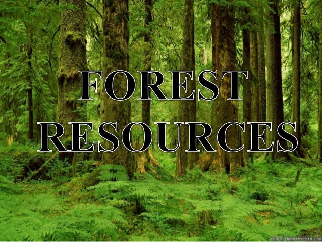 Forest resources