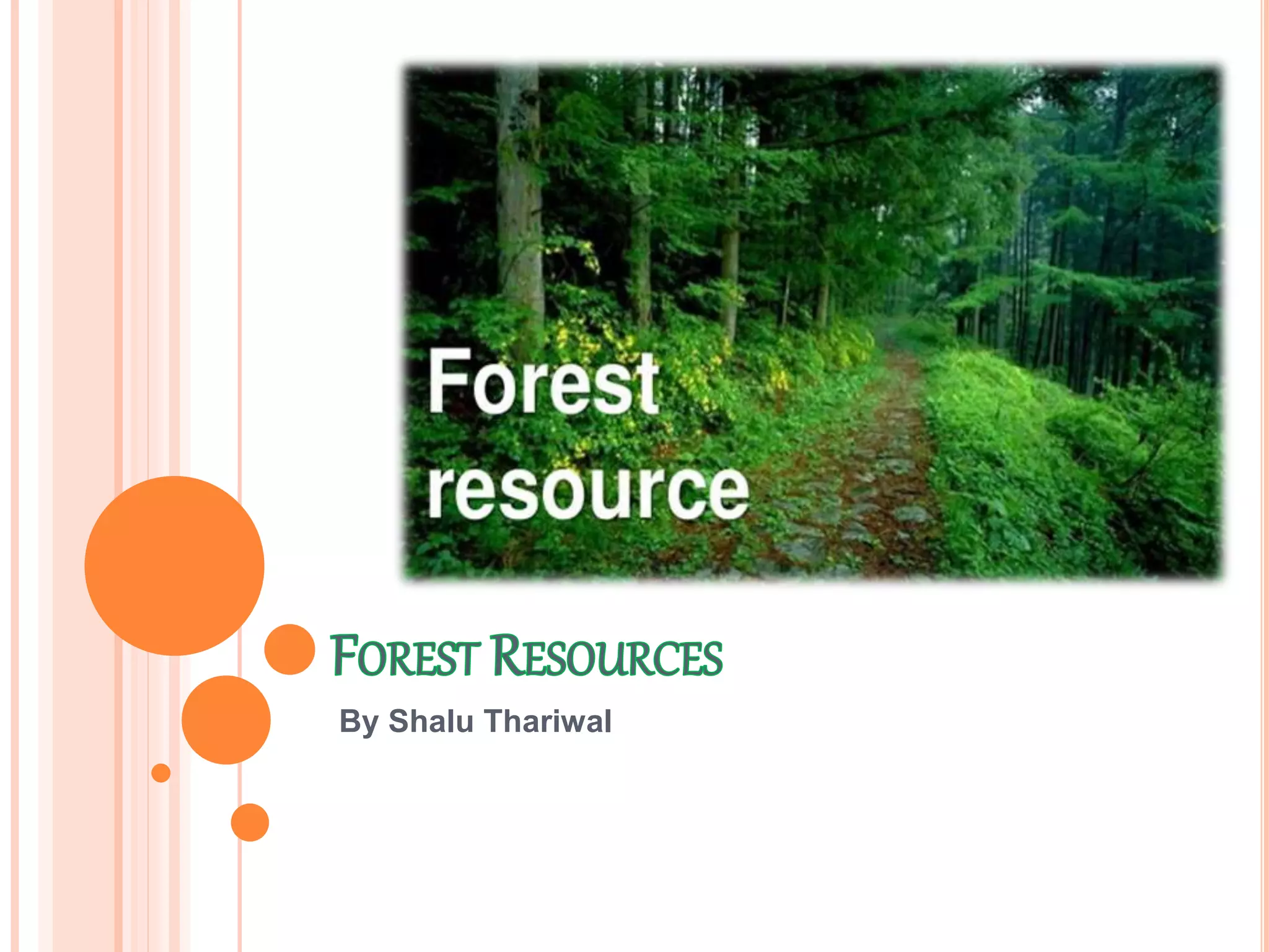 Forest resources | PPTX