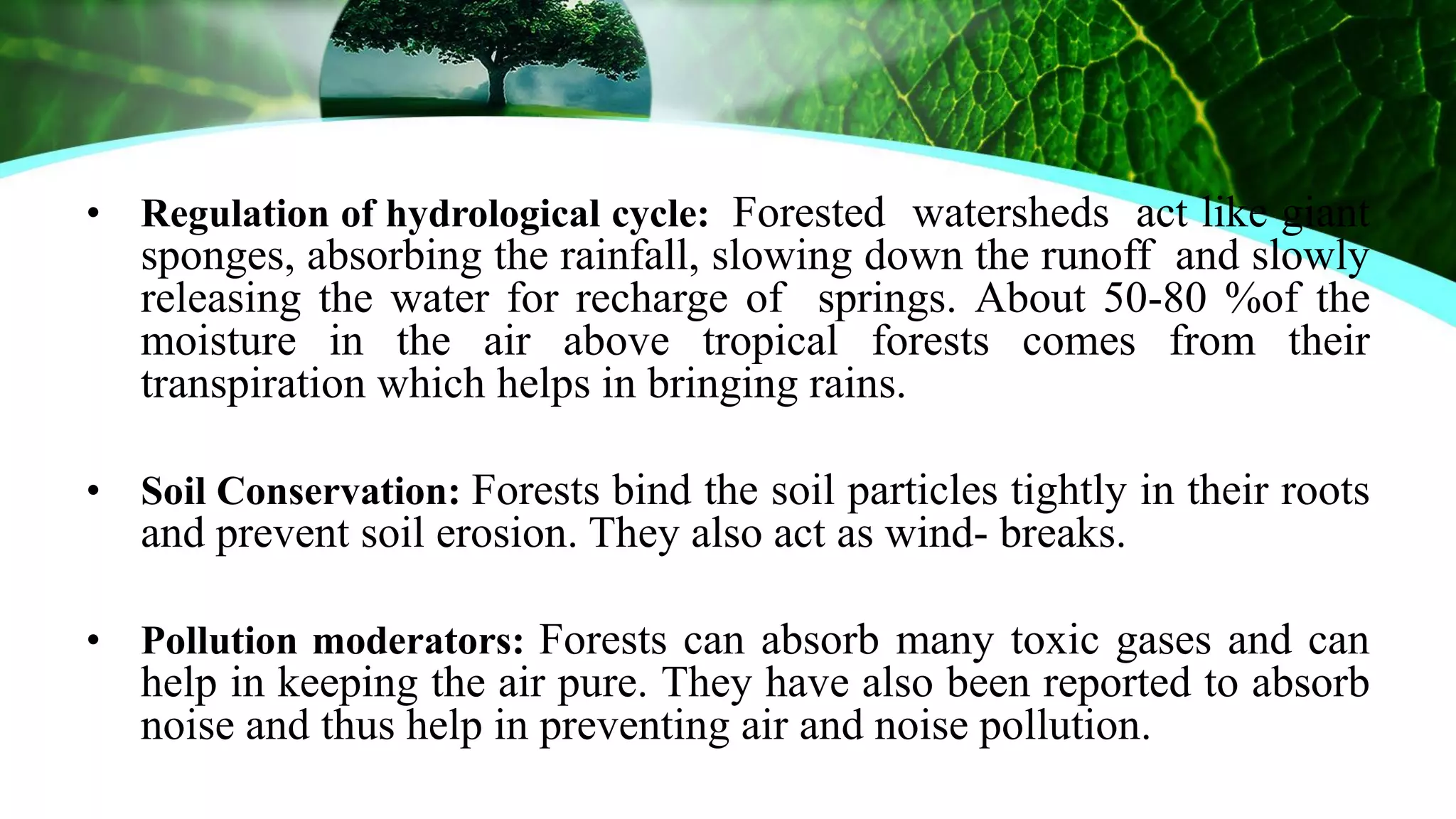 Forest resources | PDF