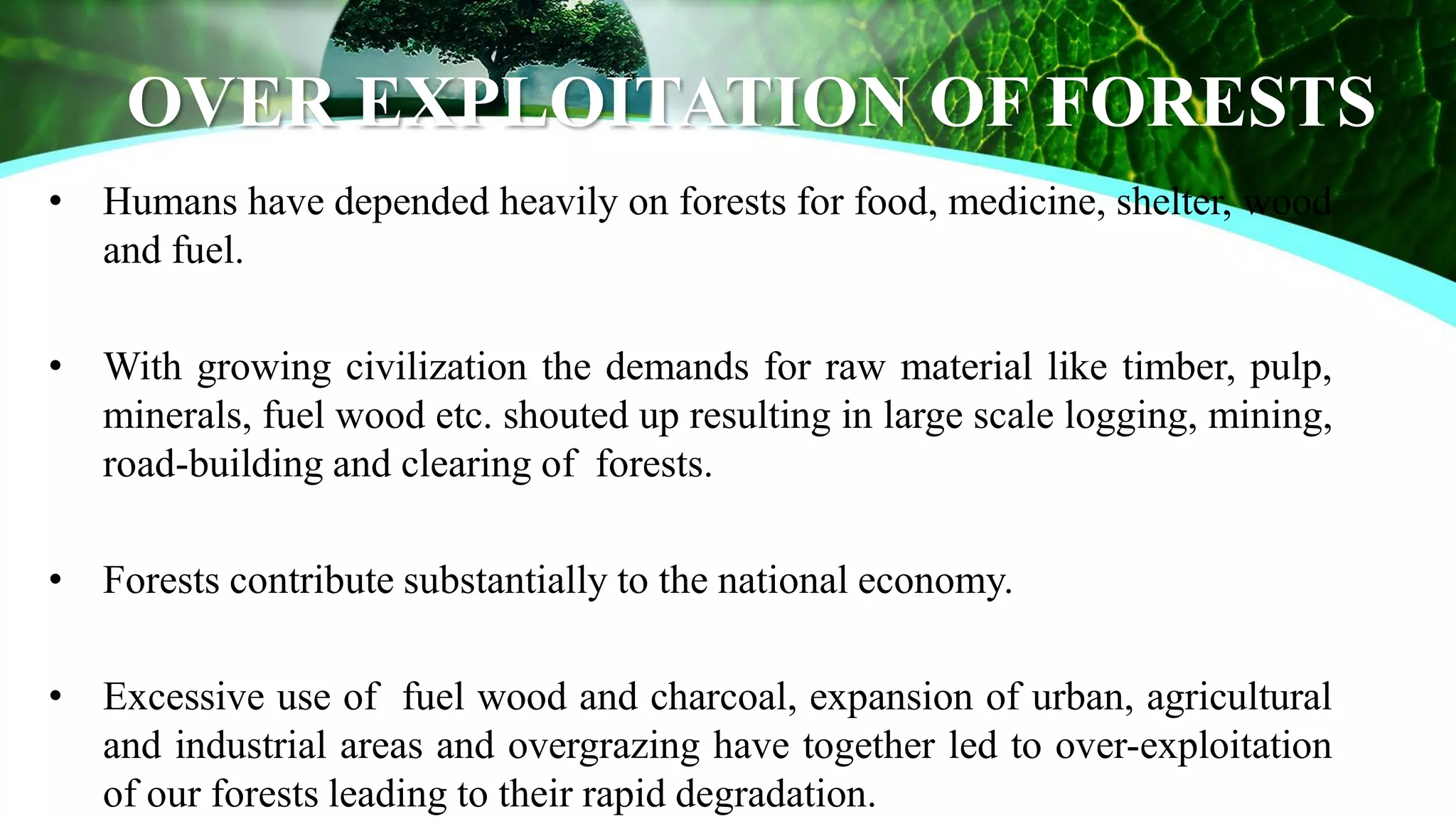 Forest resources | PDF
