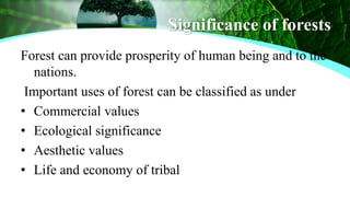 Forest resources | PDF