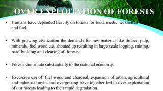 Forest resources | PDF