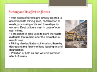Forest resources | PPTX