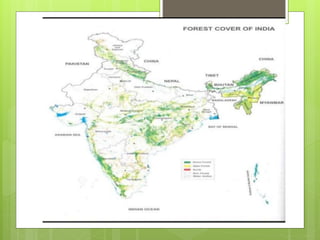 Forest resources | PPTX