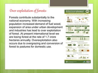 Forest resources | PPTX