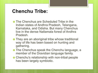 Forest resources | PPT