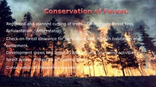 FOREST RESOURCES | PPT