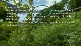 FOREST RESOURCES | PPT
