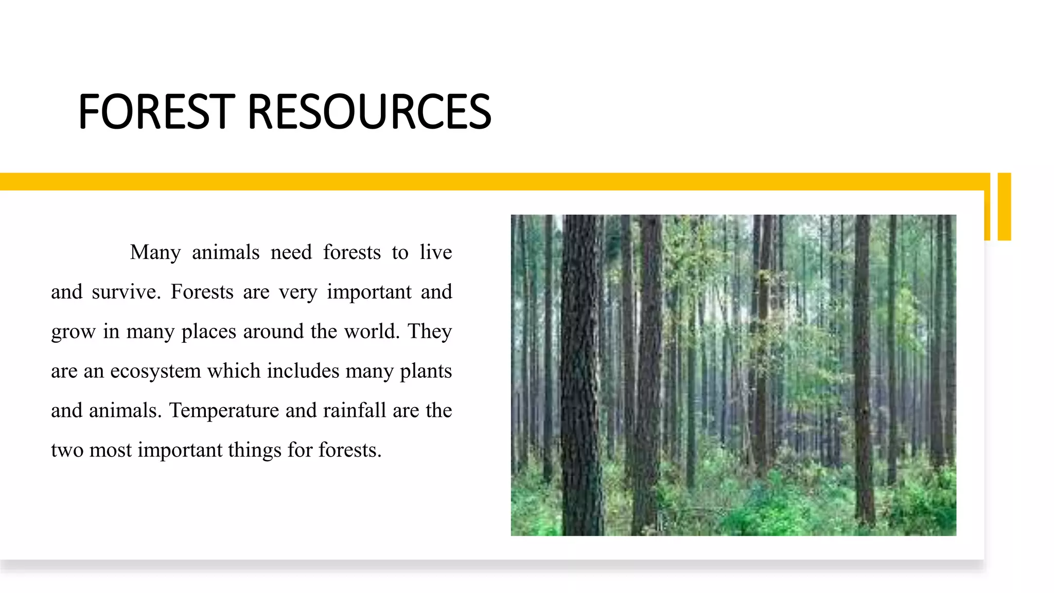 Forest resources | PPTX