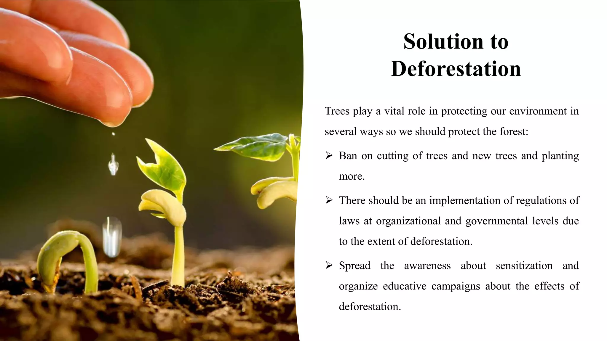 Forest resources | PPTX