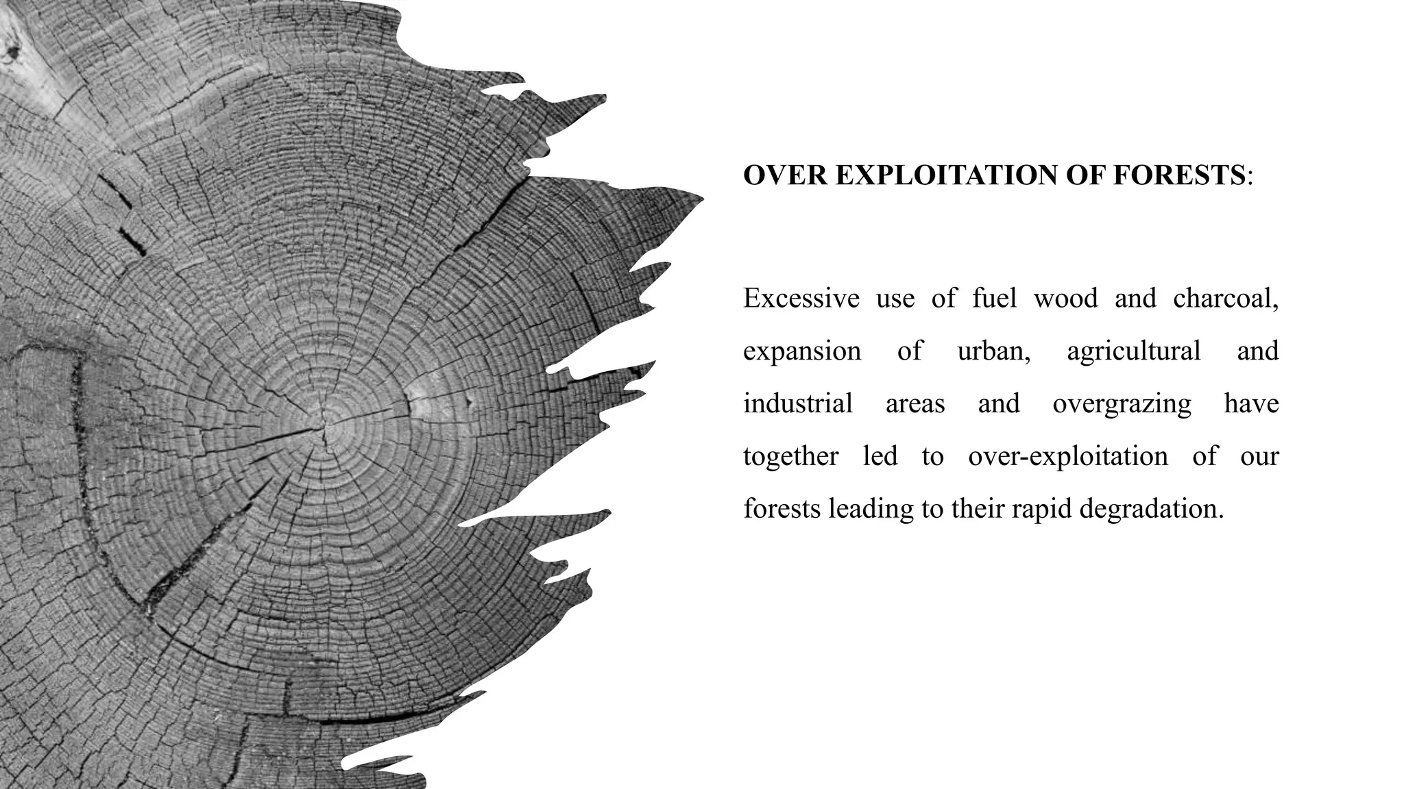 Forest resources | PPTX
