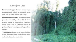 Forest resources | PPTX