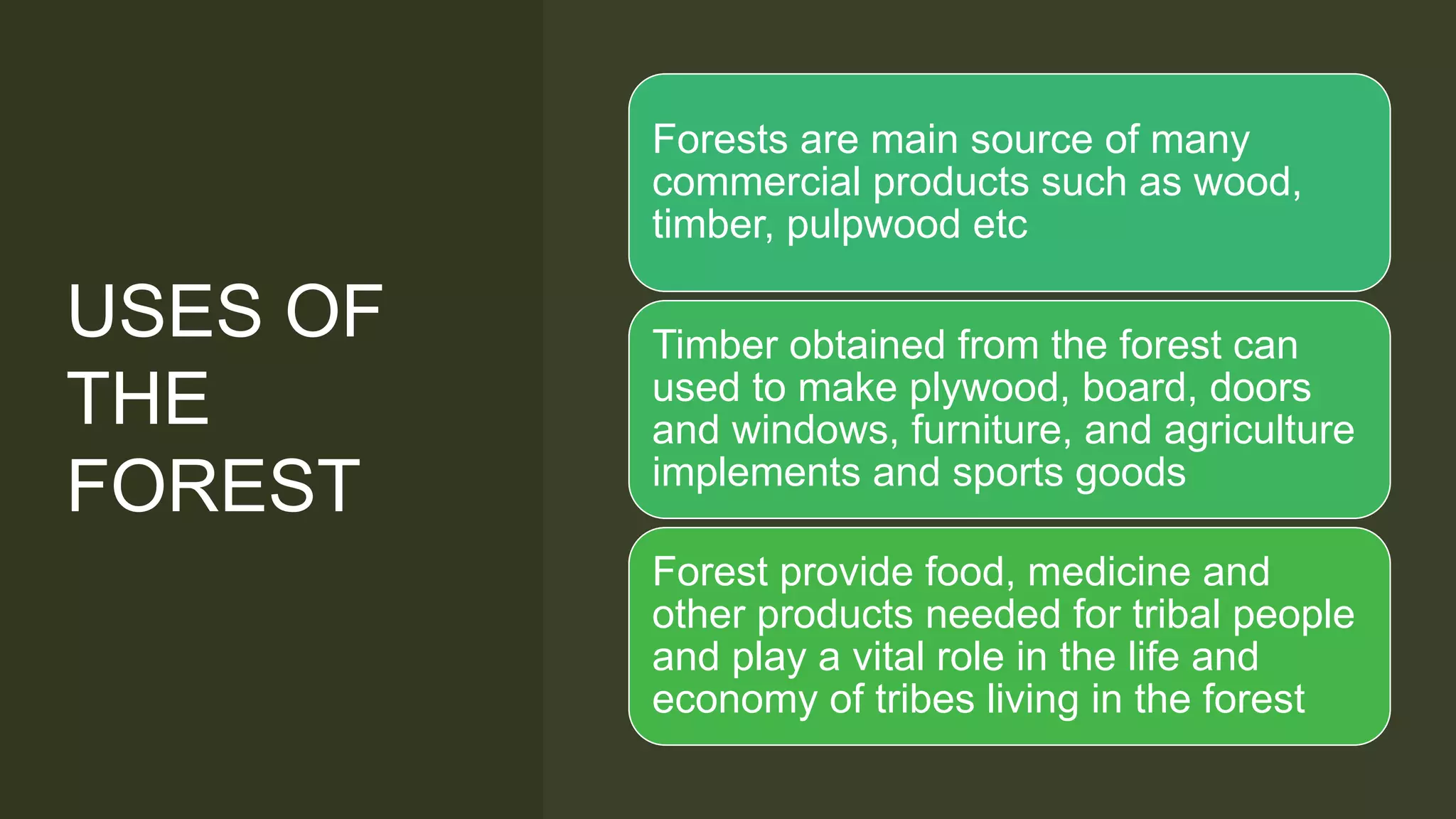 FOREST RESOURCES.pptx