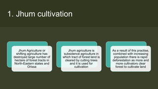 FOREST RESOURCES.pptx