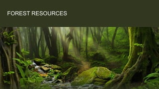 FOREST RESOURCES.pptx