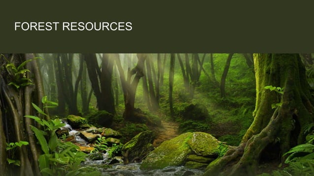 FOREST RESOURCES.pptx