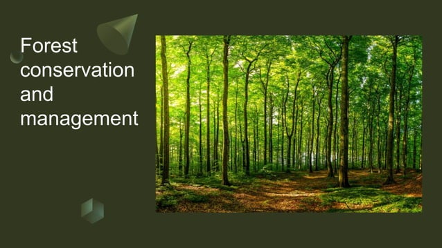 FOREST RESOURCES.pptx