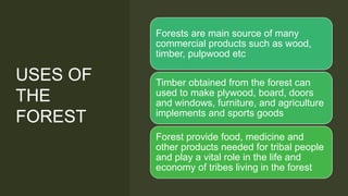 FOREST RESOURCES.pptx