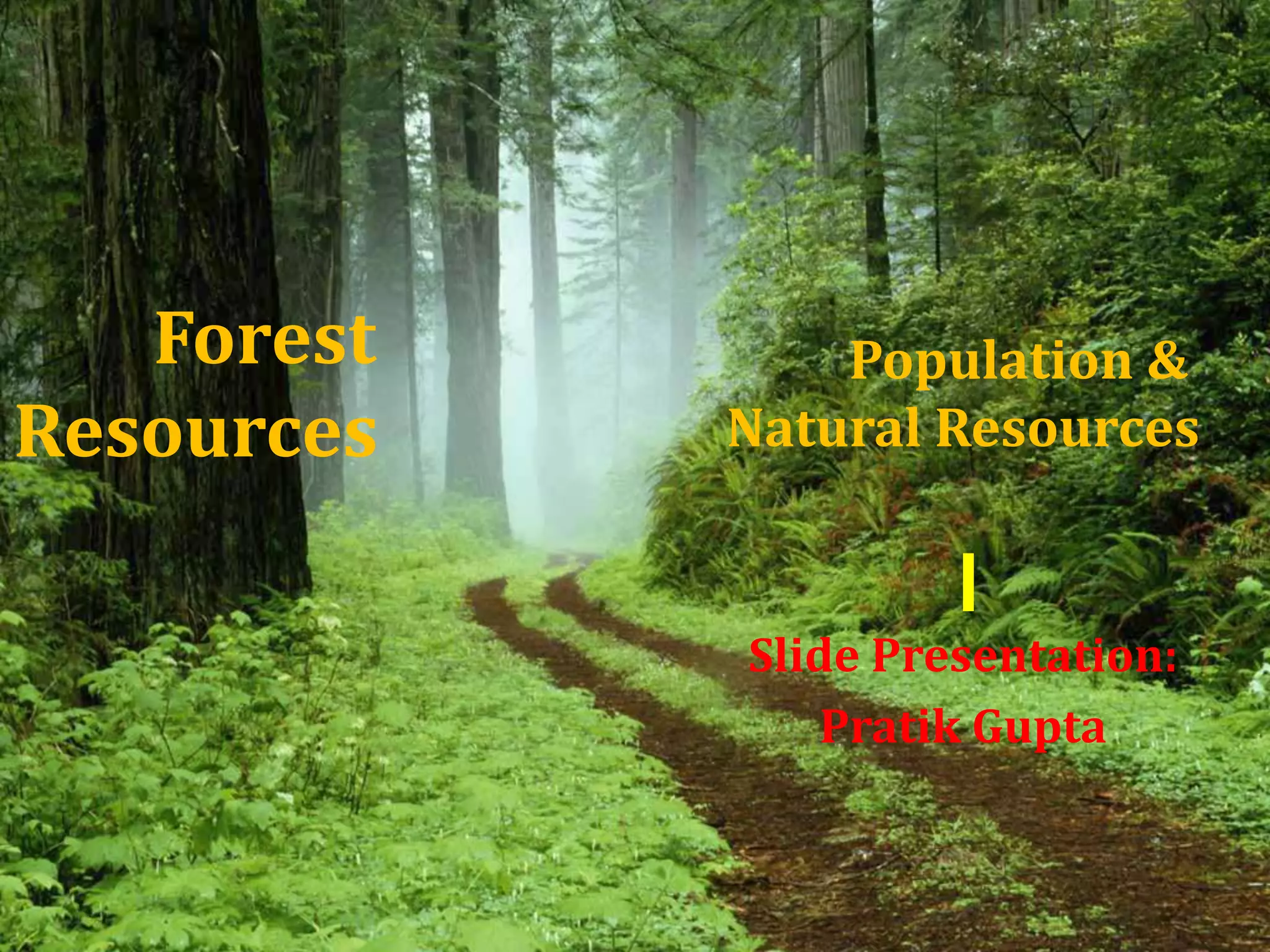 Forest Resources.ppt