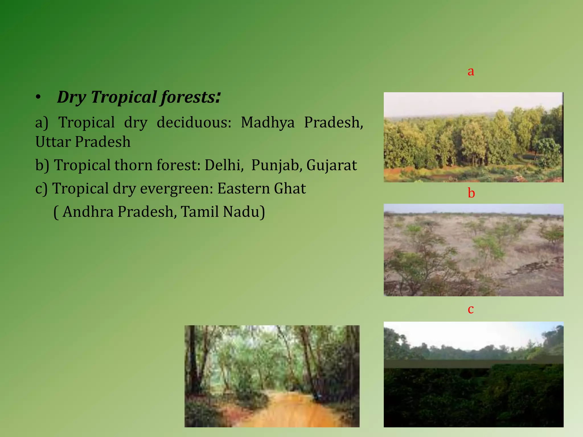 Forest Resources.ppt
