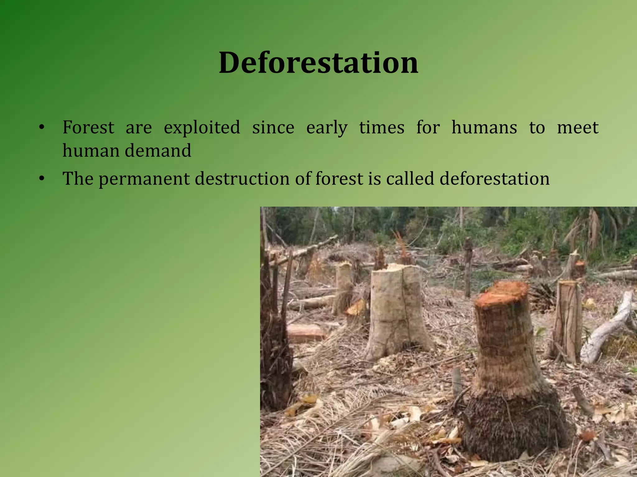 Forest Resources.ppt
