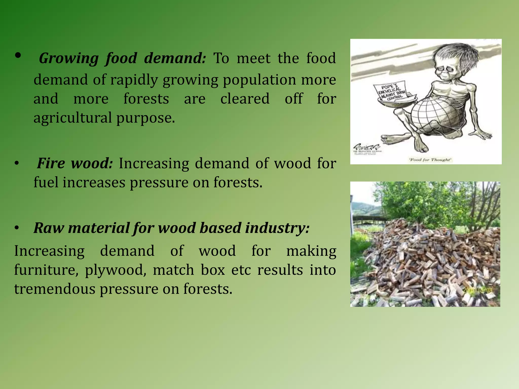 Forest Resources.ppt