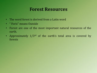Forest Resources.ppt