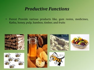 Forest Resources.ppt