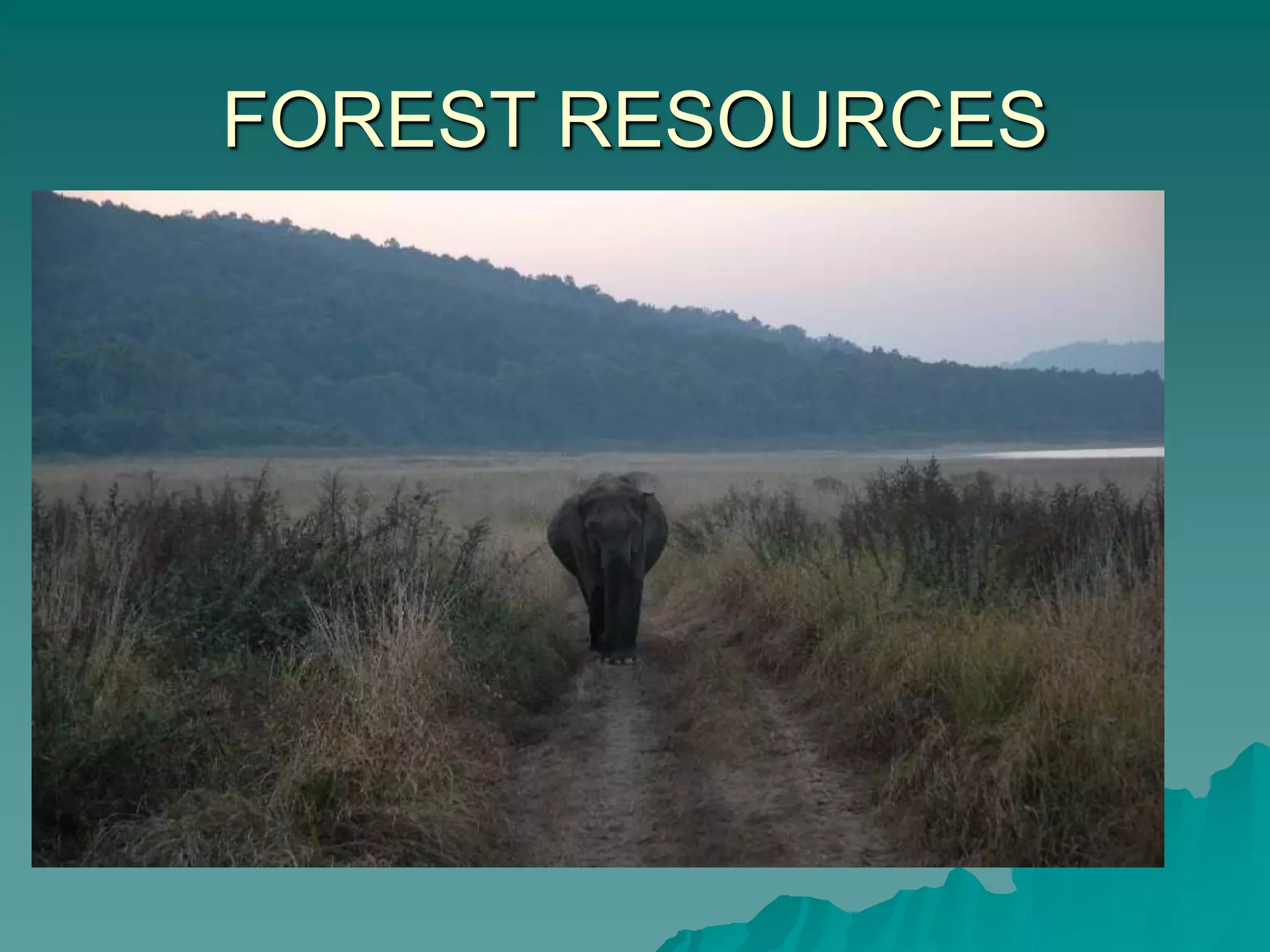 Forest_resources.ppt