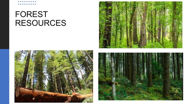 Forest Resources and its trypes ofor environment.pptx