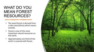 Forest Resources and its trypes ofor environment.pptx