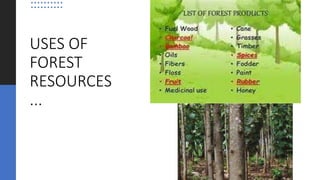 Forest Resources and its trypes ofor environment.pptx