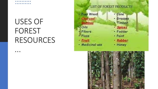 Forest Resources and its trypes ofor environment.pptx