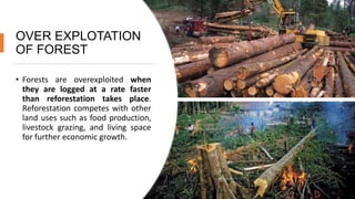 Forest Resources and its trypes ofor environment.pptx