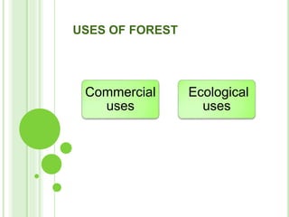Forest Resources environmental studies.pptx