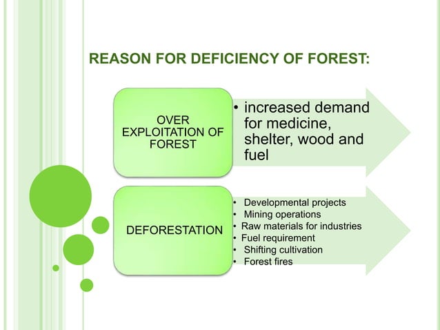 Forest Resources environmental studies.pptx