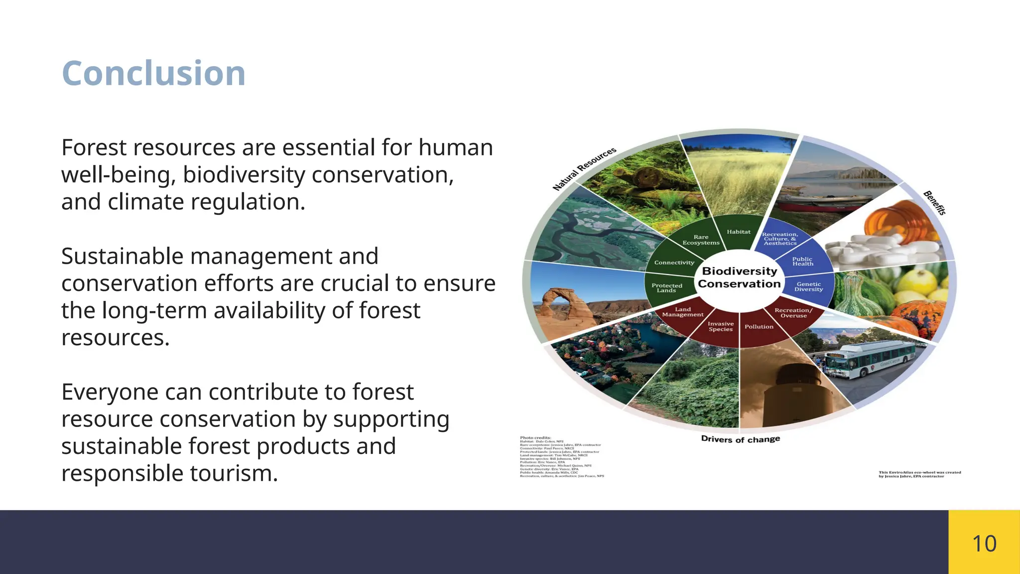 Forest Resources and Causes and advantages .pptx