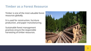 Forest Resources and Causes and advantages .pptx